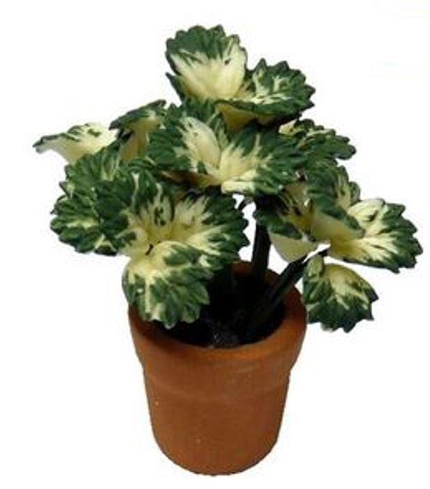 Choice of Miniature Artificial Coleus Plant | Fairy Miniatures